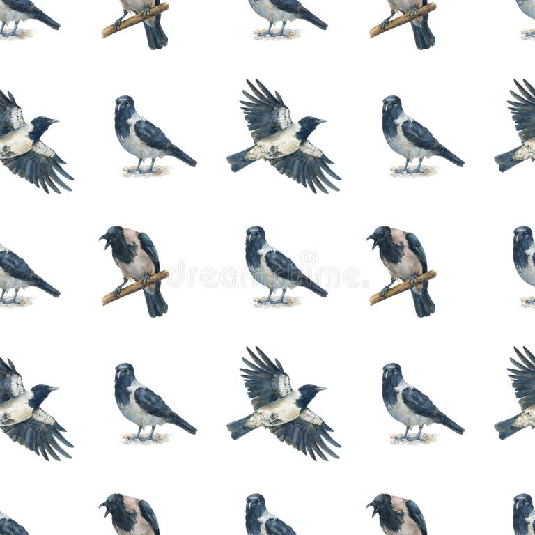 Watercolor Seamless Pattern of Crows on White Background. Stock ...