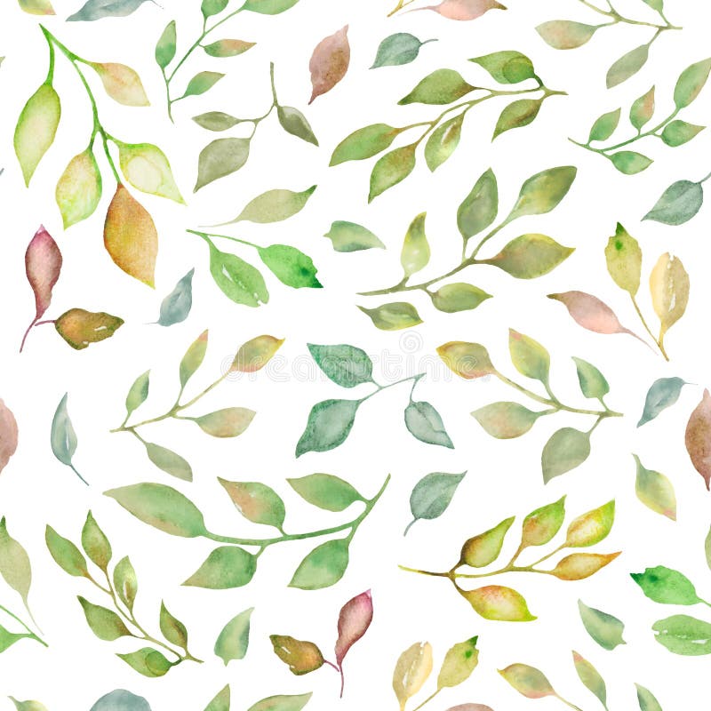 Watercolor Seamless Pattern with Different Leaves. Hand Drawing Floral ...
