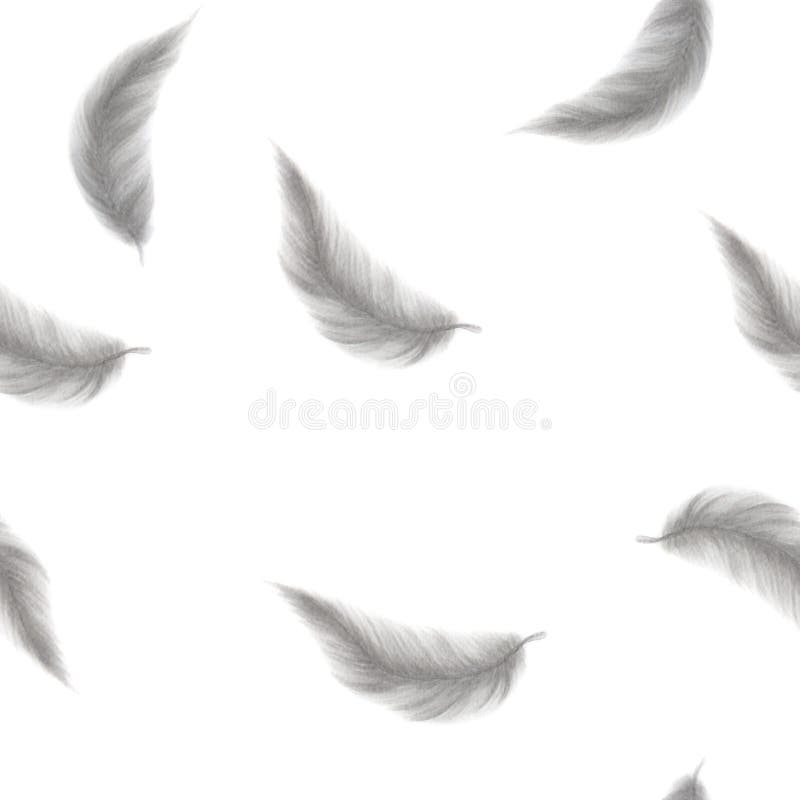 236 Aztec Feather Texture Stock Photos - Free & Royalty-Free Stock ...