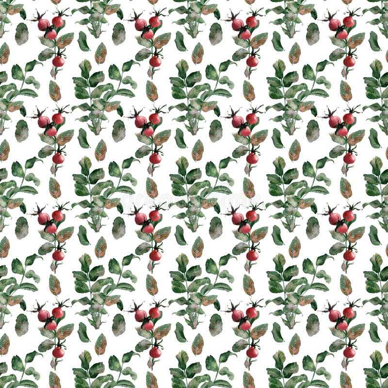 Watercolor Seamless Pattern with Flowering Branches, Leaves and Rosehip ...