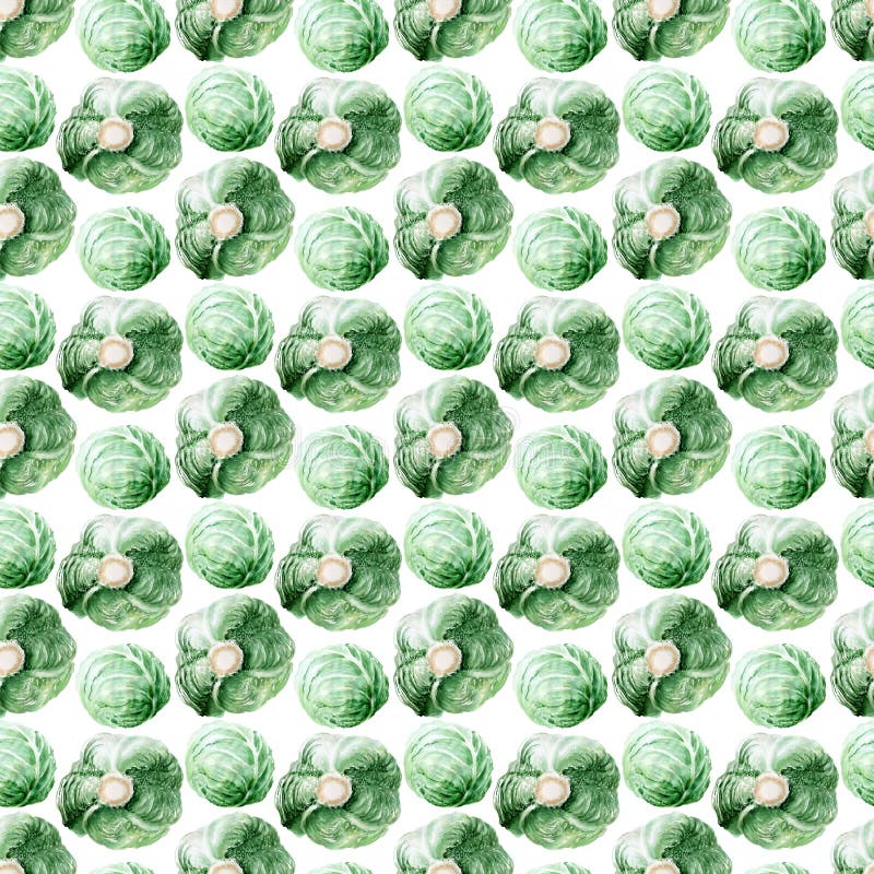 Watercolor Seamless Pattern of Fresh Cabbage Stock Illustration ...