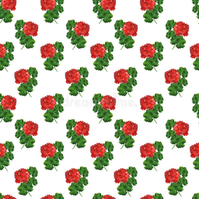 Watercolor Seamless Pattern with Geranium Image Stock Illustration ...