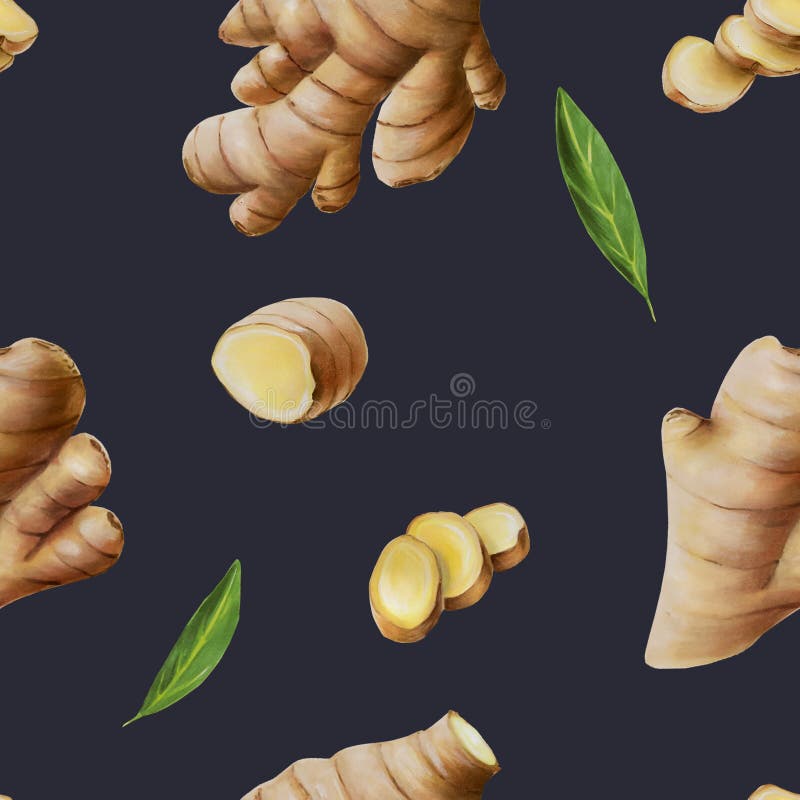 Watercolor Seamless Pattern with Ginger. Includes Ginger Root and Leafs ...