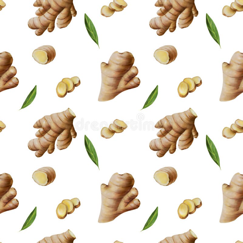 Watercolor Seamless Pattern with Ginger. Includes Ginger Root and Leafs ...