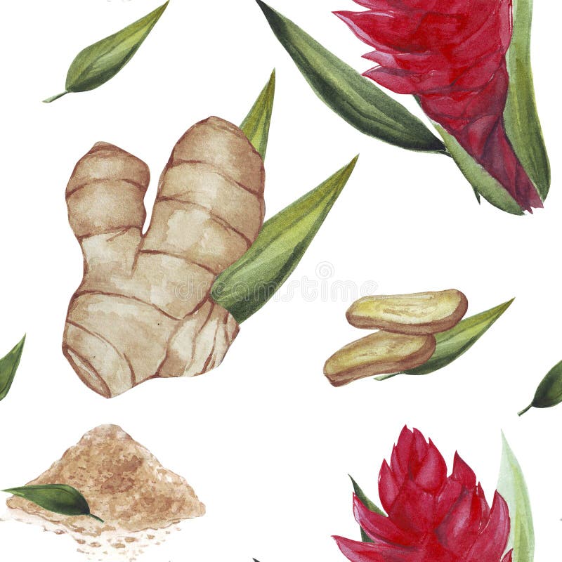 Watercolor Ginger Tea Stock Illustrations – 162 Watercolor Ginger Tea Stock Illustrations ...
