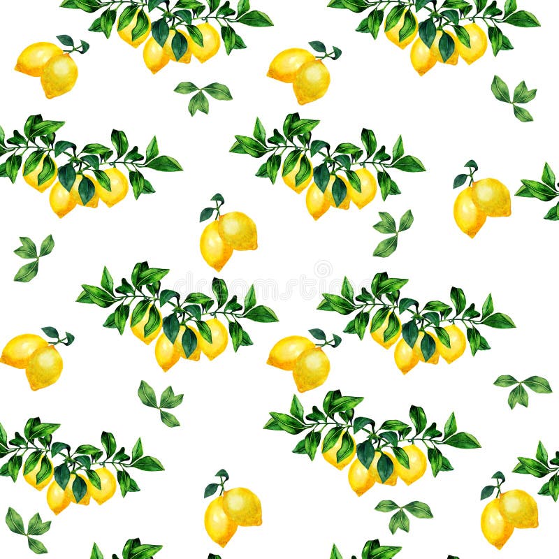 Watercolor Seamless Pattern with Hand Drawn Citrus Branches. Beautiful ...