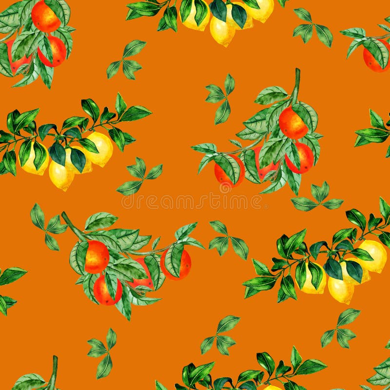 Watercolor Seamless Pattern with Hand Drawn Citrus Branches. Beautiful ...