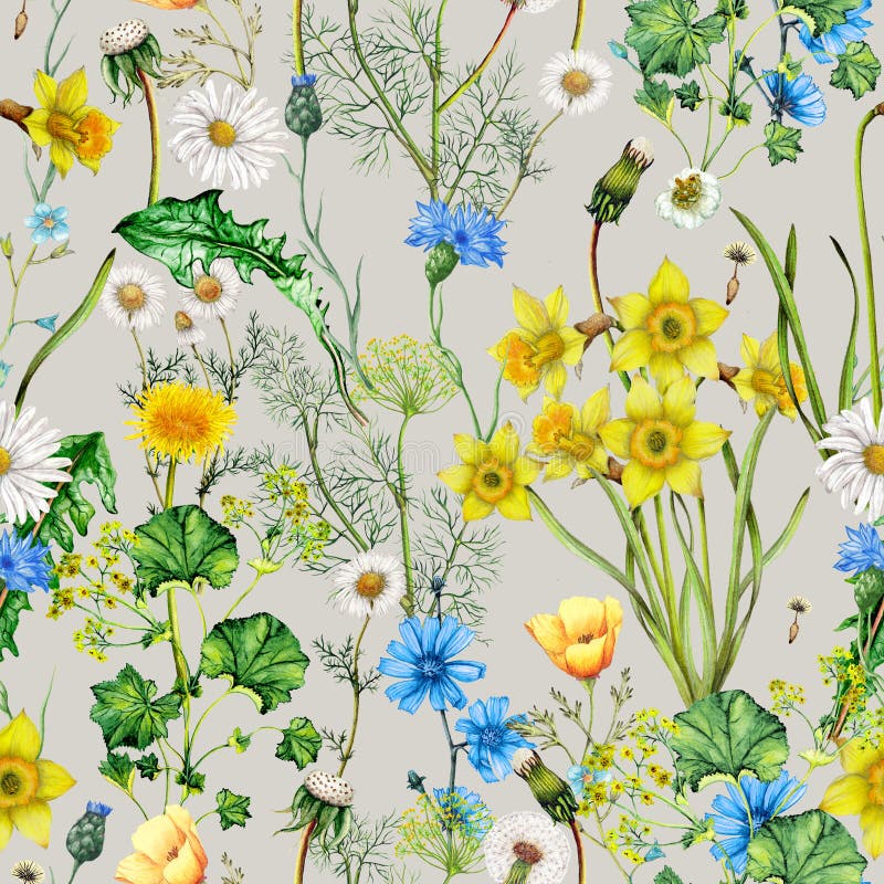 Watercolor Seamless Pattern of Hand Drawn Spring Flowers Stock ...