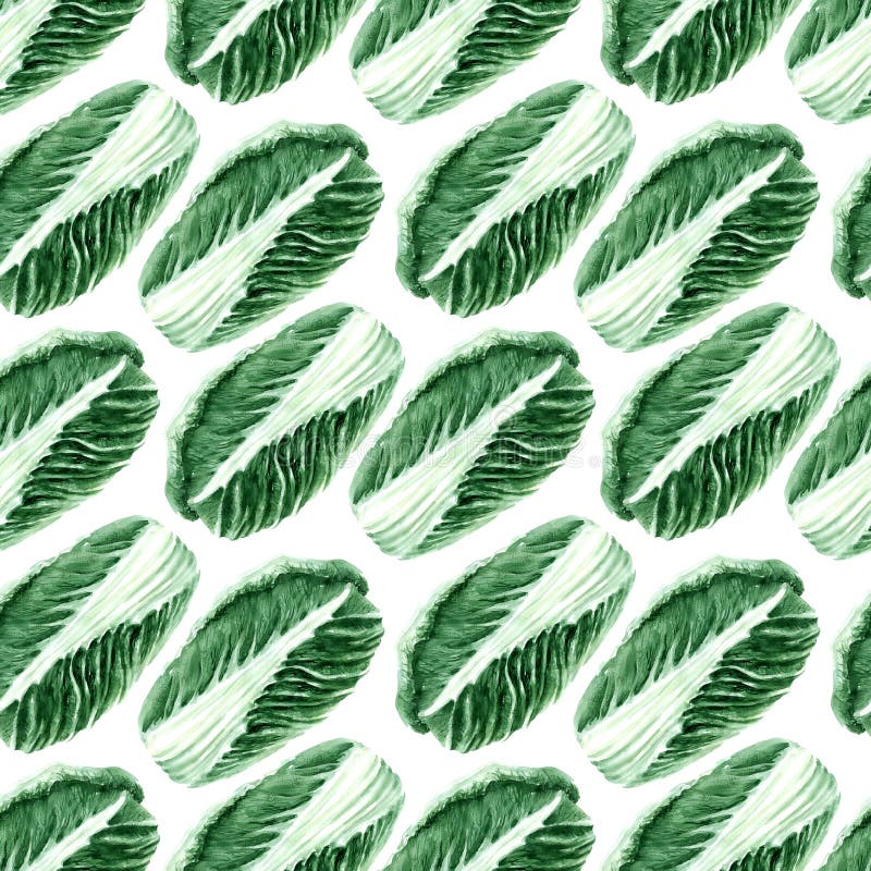 Watercolor Seamless Pattern with Images of Various Types of Cabbage ...