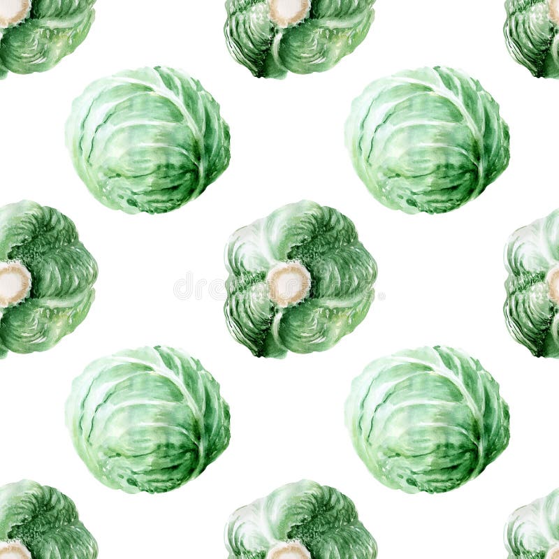 Watercolor Seamless Pattern with Images of Various Types of Cabbage ...