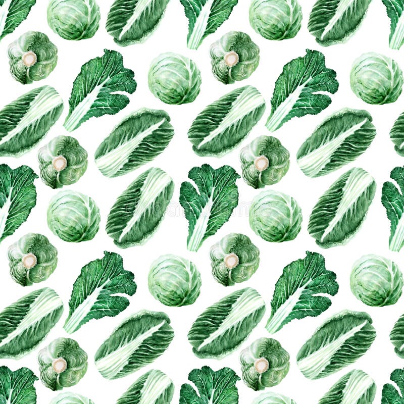 Watercolor Seamless Pattern with Images of Various Types of Cabbage ...