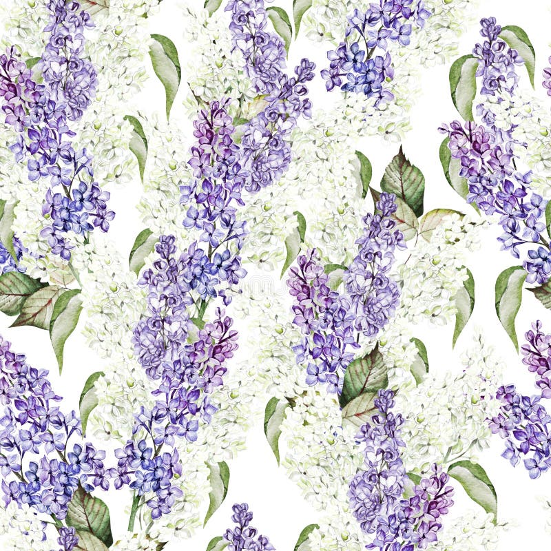 Pattern of Lilac White Flowers with Small Longish Leaves. Background ...
