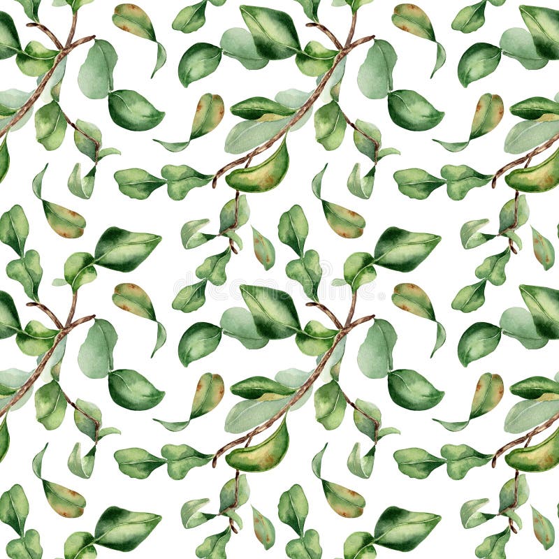 Watercolor Seamless Pattern with Lime Tree Branches and Foliage. Hand ...