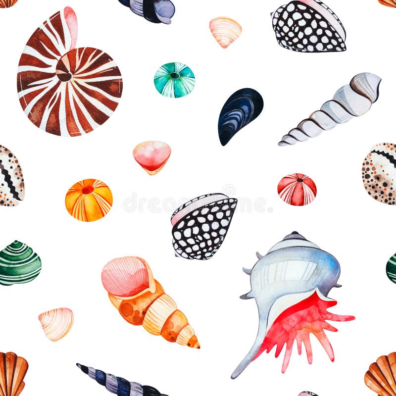 Watercolor Composition with Multicolored Corals,seashells,seaweeds and ...