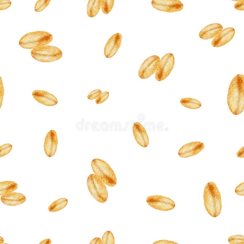 Watercolor Seamless Pattern Oat Grains, Wheat Seeds Print Vector ...