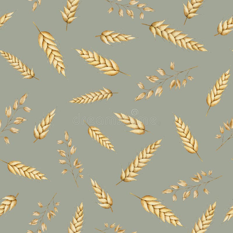 Watercolor Seamless Pattern with Oats, Ear of Wheat. Bakery ...