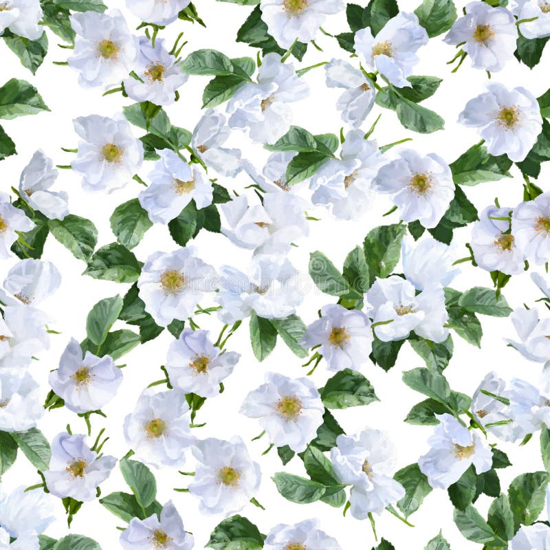 Watercolor Seamless Pattern Stock Illustration - Illustration of ...