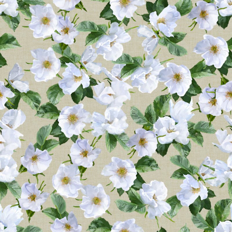 Watercolor Seamless Pattern Stock Illustration - Illustration of fabric ...