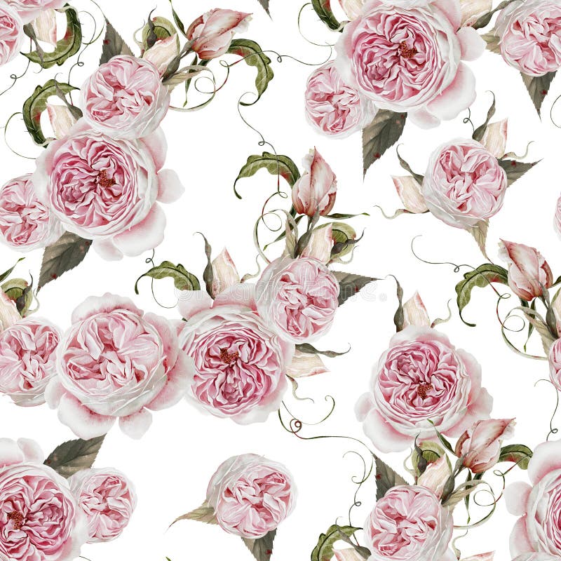 Watercolor Seamless Pattern with Pink Roses and Leaves Stock ...