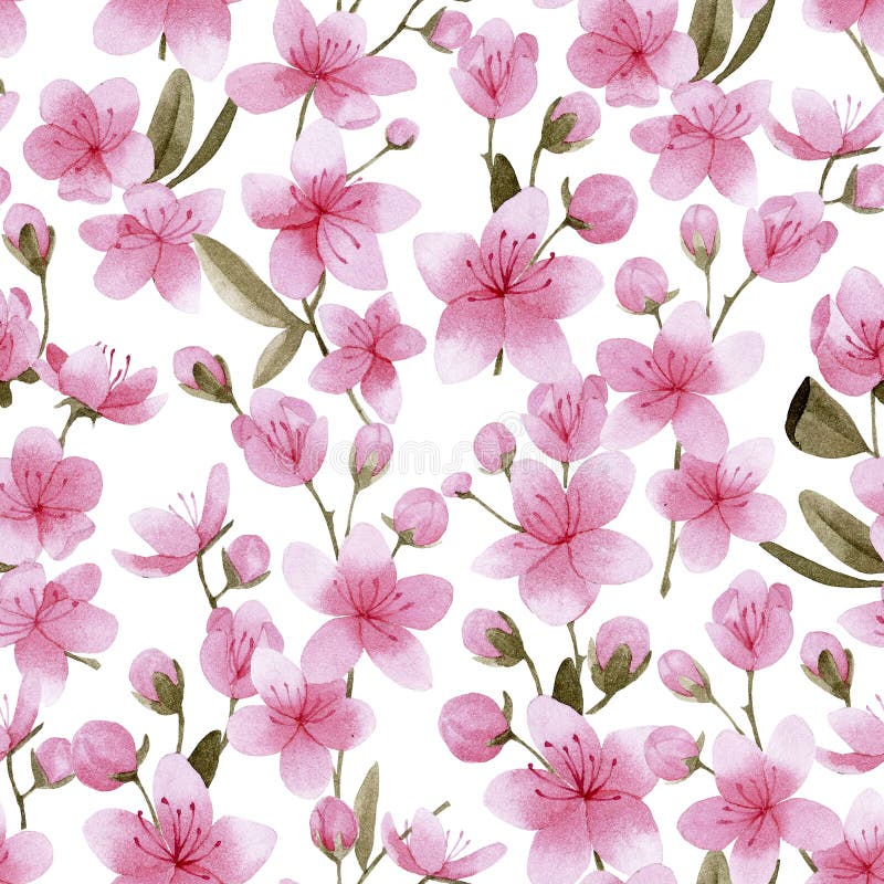 Watercolor Seamless Pattern with Pink Sakura Flowers. Print with Cherry ...