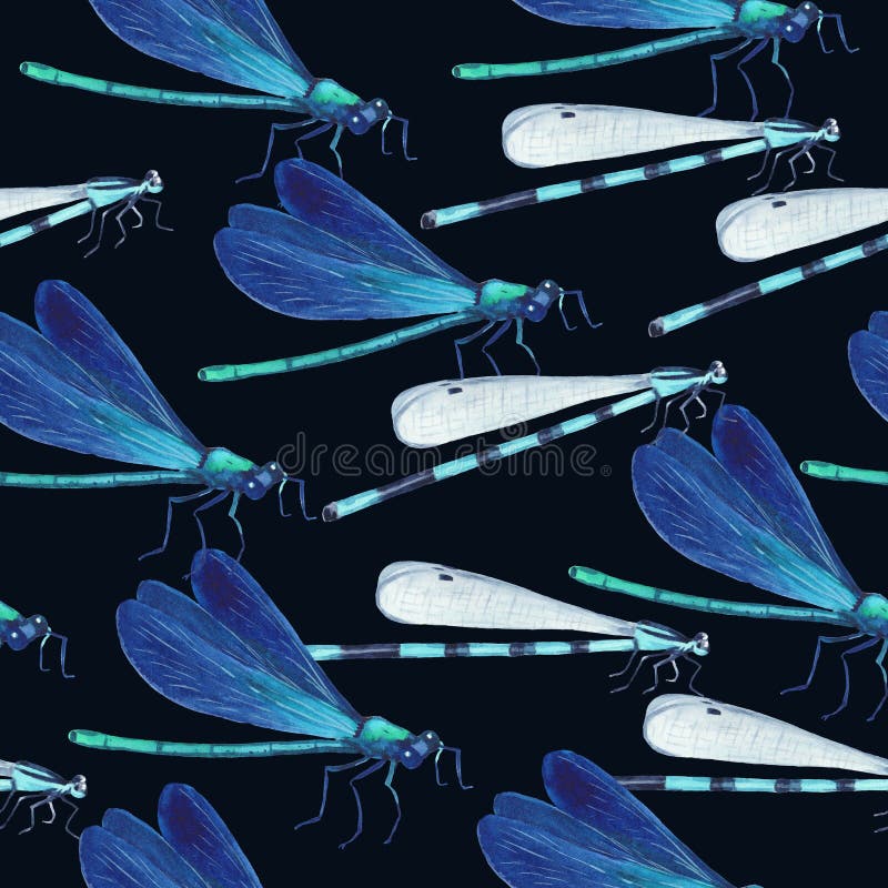 Watercolor Seamless Pattern with Realistic Blue Dragonflies. Stock ...