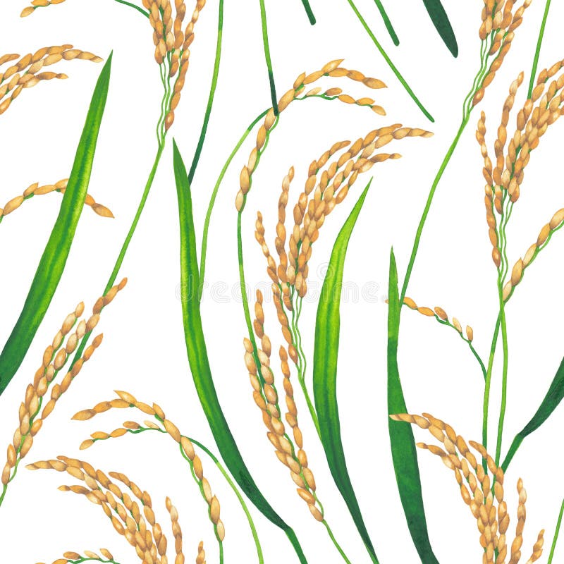 Watercolor Seamless Pattern of Rice Sticks and Leaves. Stock ...