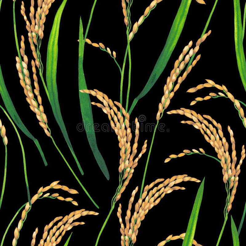 Watercolor Seamless Pattern of Rice Sticks and Leaves. Stock ...