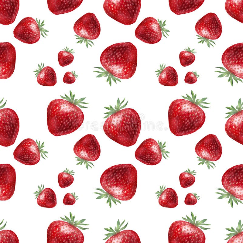 Watercolor Seamless Pattern with Ripe Strawberries Stock Illustration ...
