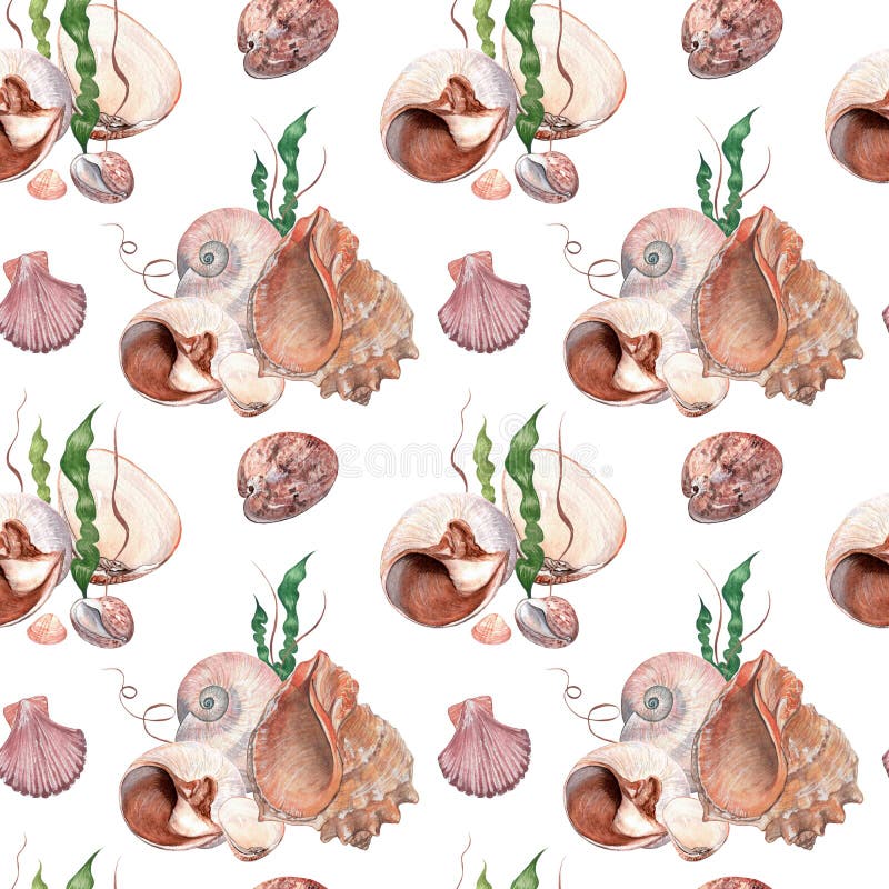Watercolor Seamless Pattern of Sea Shells. Stock Illustration ...