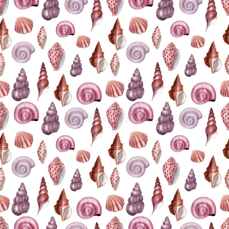 Watercolor Seamless Pattern Seashells. Pink Shells Stock Illustration ...