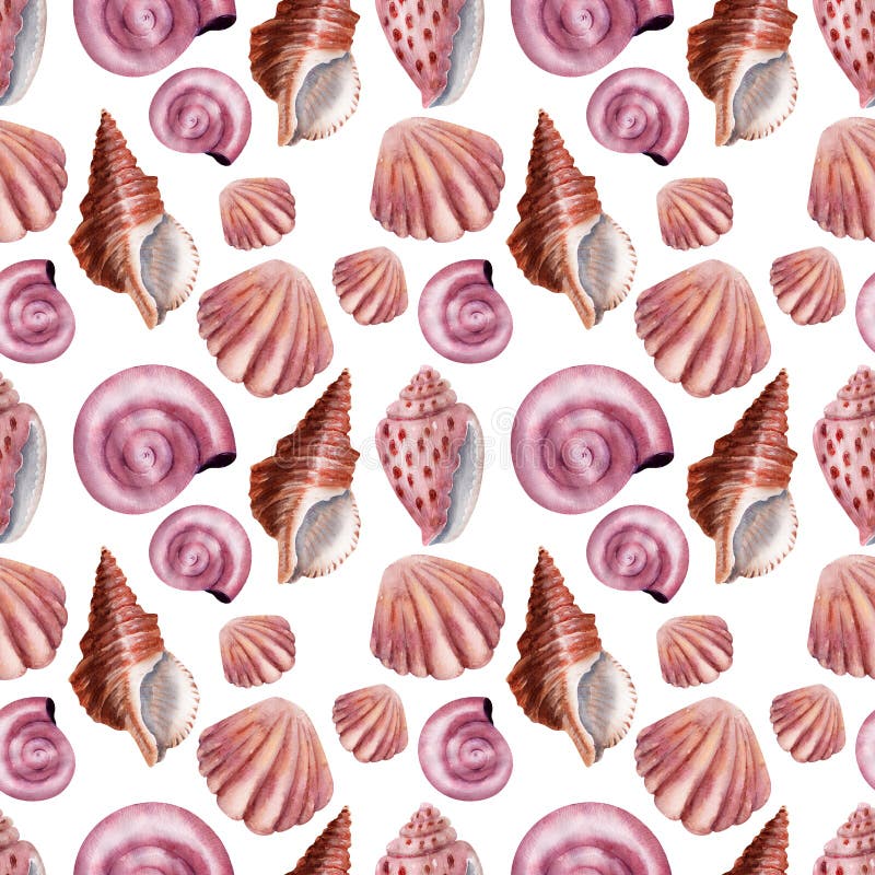 Watercolor Seamless Pattern Seashells. Pink Shells Stock Image - Image ...
