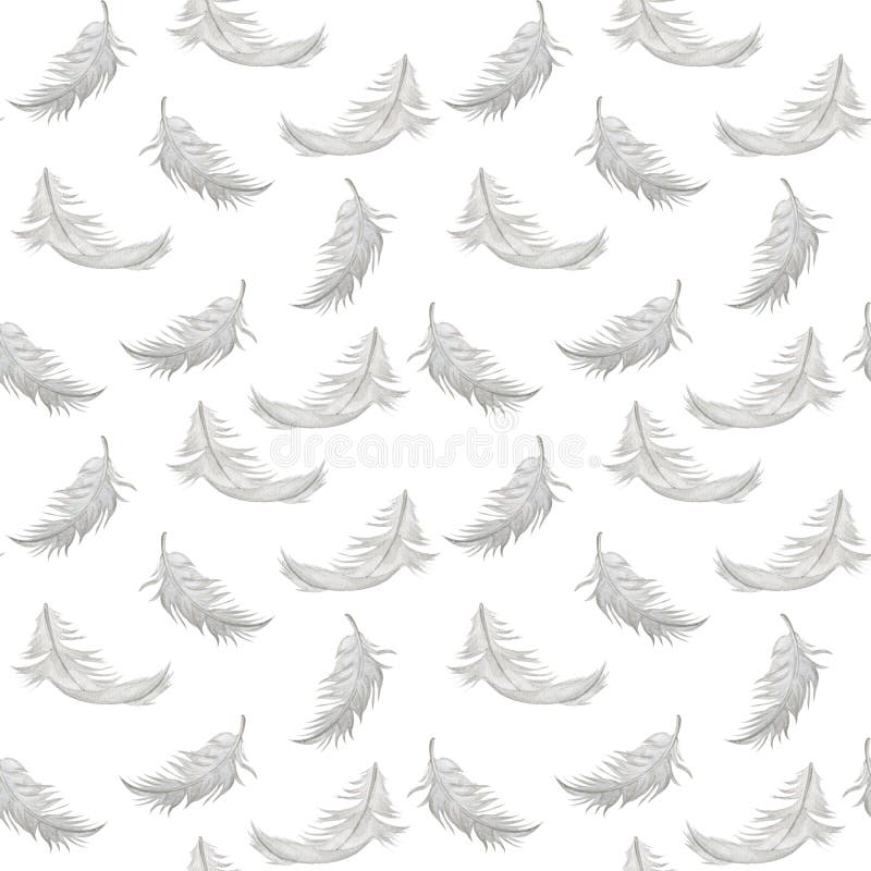 Watercolor Seamless Pattern of Soft White Feathers Stock Illustration ...
