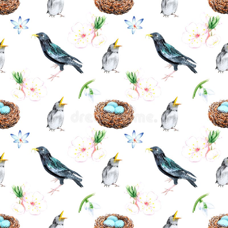Watercolor Seamless Pattern - Spring, Birds, Chicks, Nest Stock Photo ...