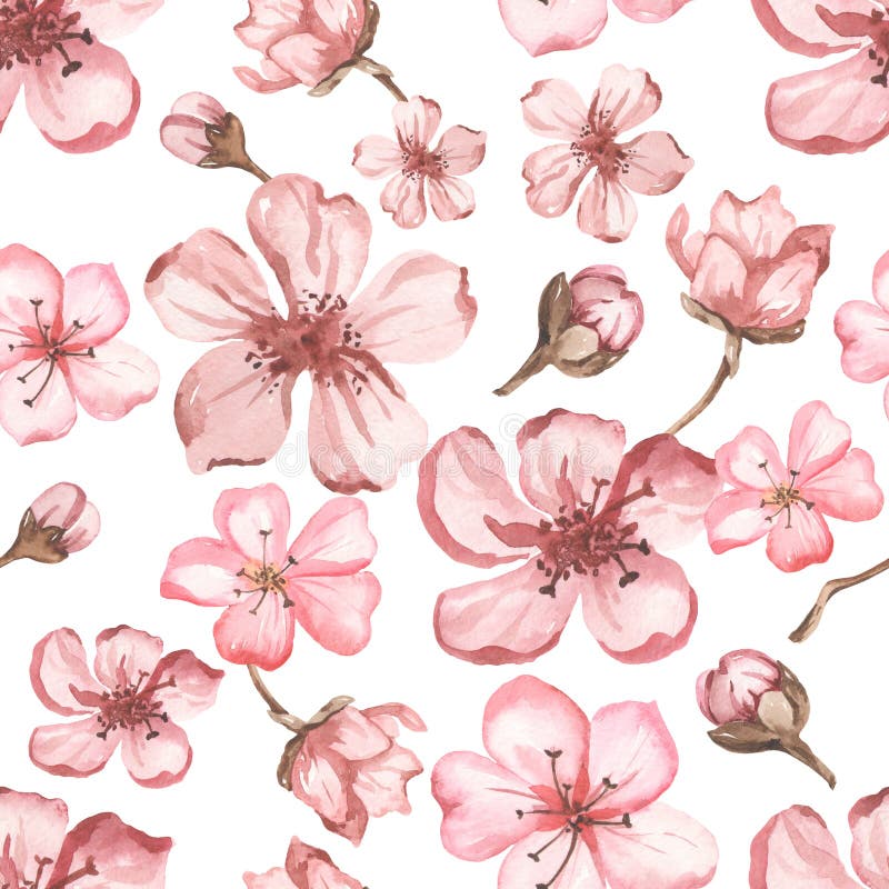 Watercolor Seamless Pattern with Spring Flowers Cherry Pink, Spring ...