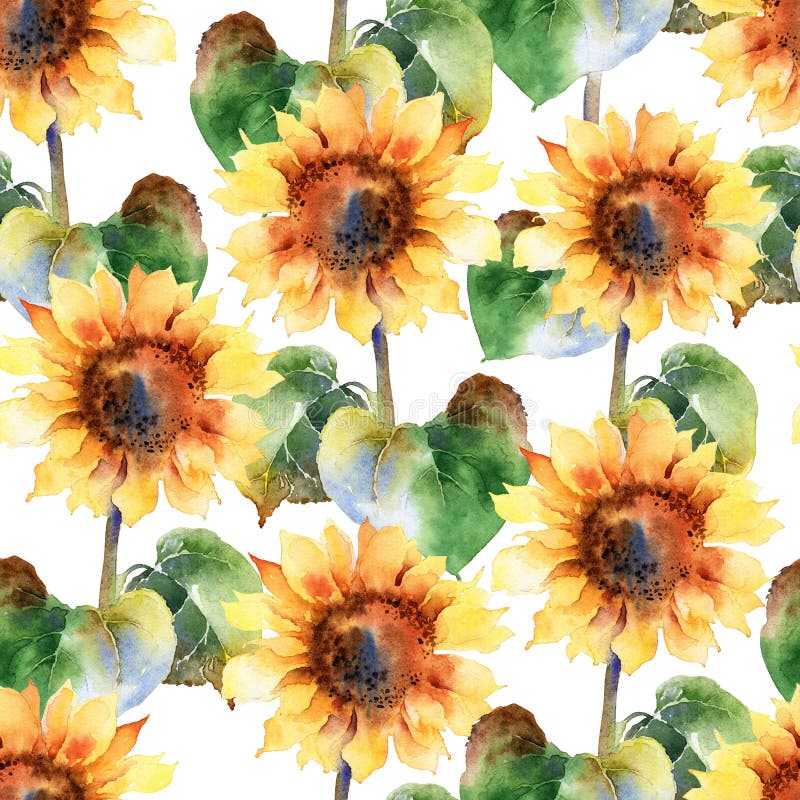 Watercolor Seamless Pattern with Sunflower Stock Illustration ...