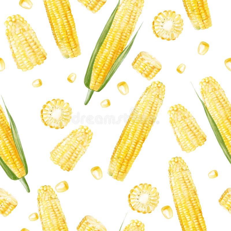 Watercolor Seamless Pattern with Sweet Corn Stock Illustration ...