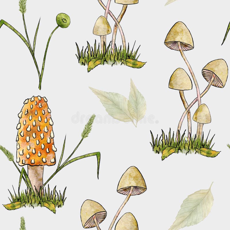 Watercolor Seamless Pattern with Toadstool Mushrooms. Hand Drawing ...
