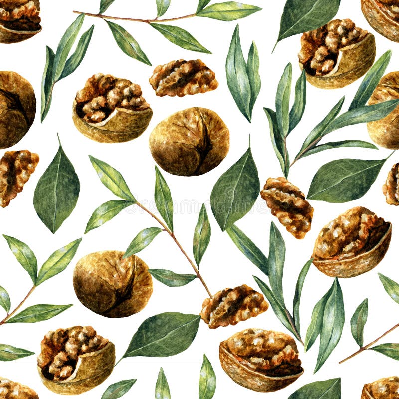 Watercolor Seamless Pattern with Walnuts and Greenery. Tropic Design ...