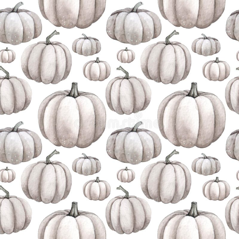 Watercolor Seamless Pattern of White Pumpkins for Winter Time ...