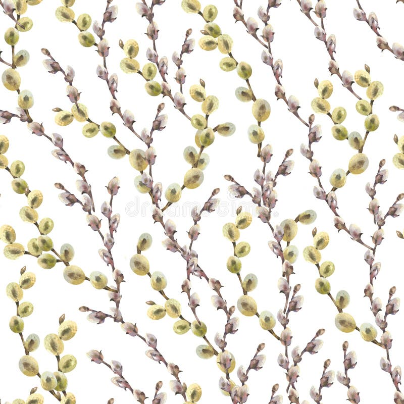 Watercolor Seamless Pattern with Willow Branches. Hand Painted Willow ...