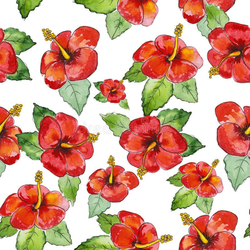 Watercolor Seamless Tropical Pattern of Exotic Hibiscus Flowers Stock ...