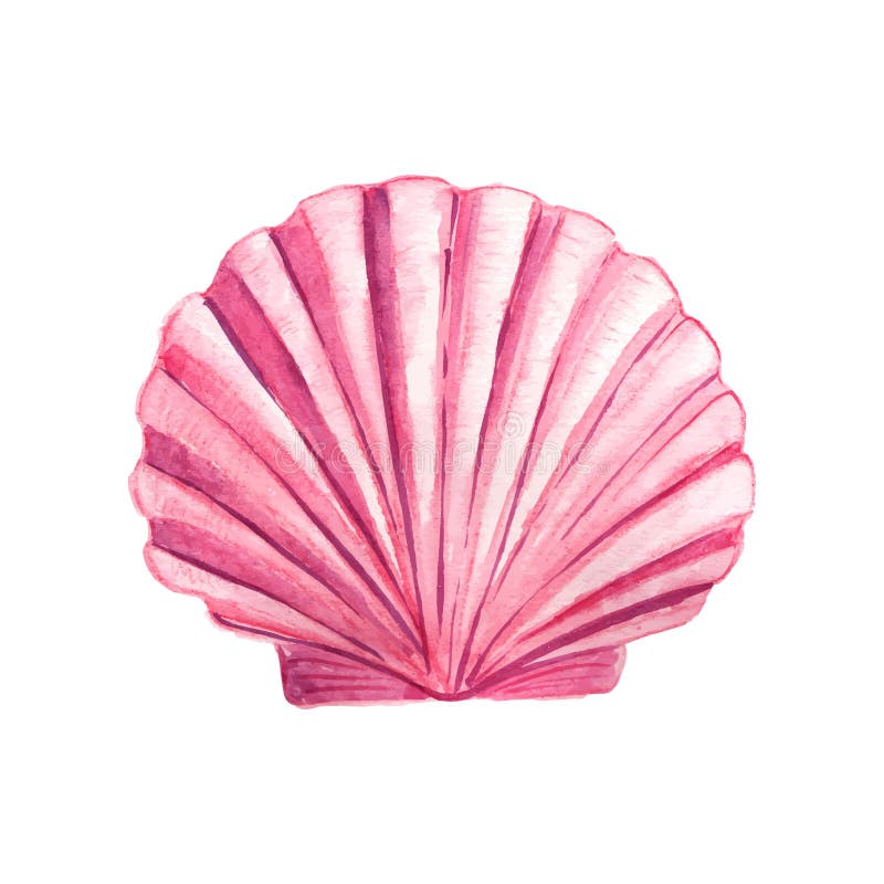 Watercolor Seashell Stock Vector Illustration Of Marine 53918188