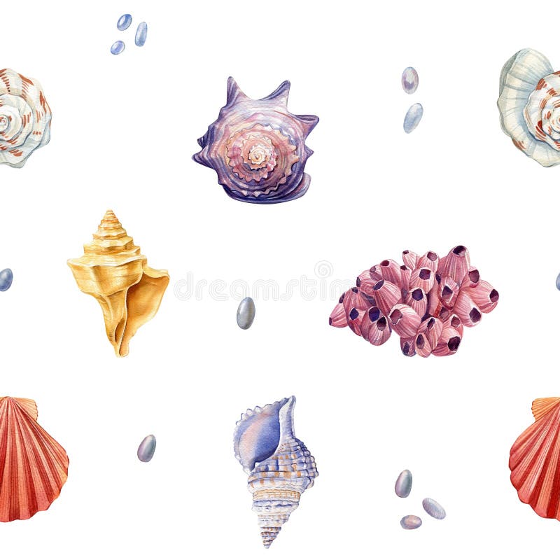 Watercolor Seashell Seamless Pattern. Underwater Creatures, Seashell ...