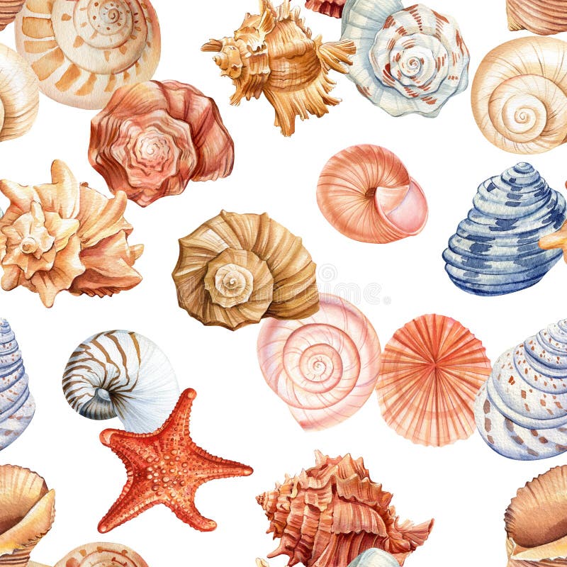 Watercolor Seashell Seamless Pattern. Underwater Creatures, Seashell ...
