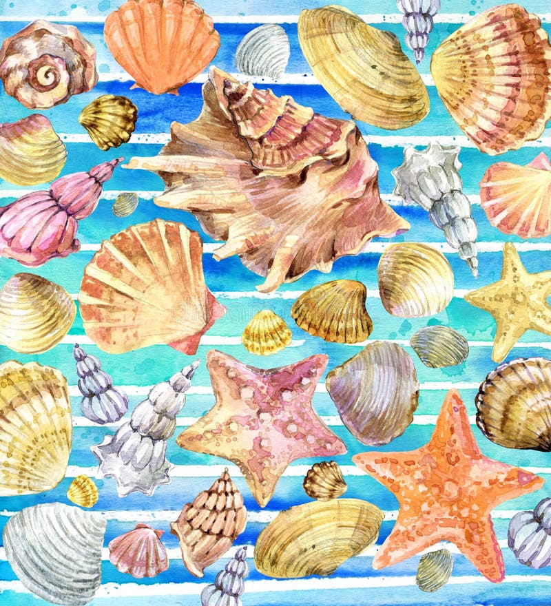 Watercolor Seashell. Seashell on Watercolor Blue Background Stock ...