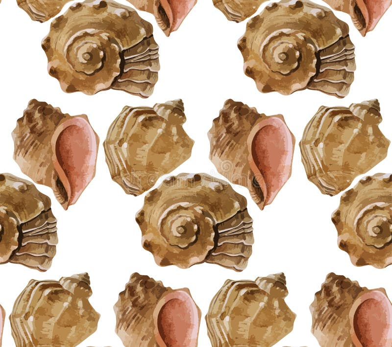 Watercolor Seashells Pattern Stock Vector - Illustration of marine ...