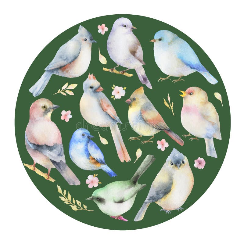 Watercolor set of birds. stock illustration. Illustration of drawn ...