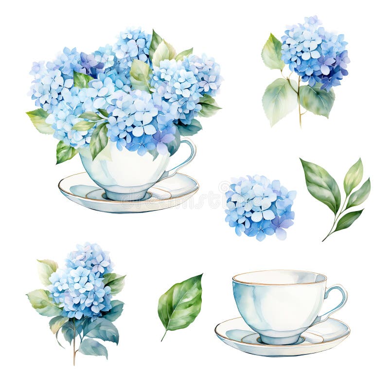 Watercolor Set of Blue Hydrangea with Tea Cup Stock Illustration ...
