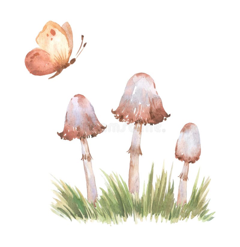 Watercolor Set of Forest Elements: Watercolor Mushrooms, Grass ... Watercolor Set of Forest Elements: Watercolor Mushrooms, Grass ...