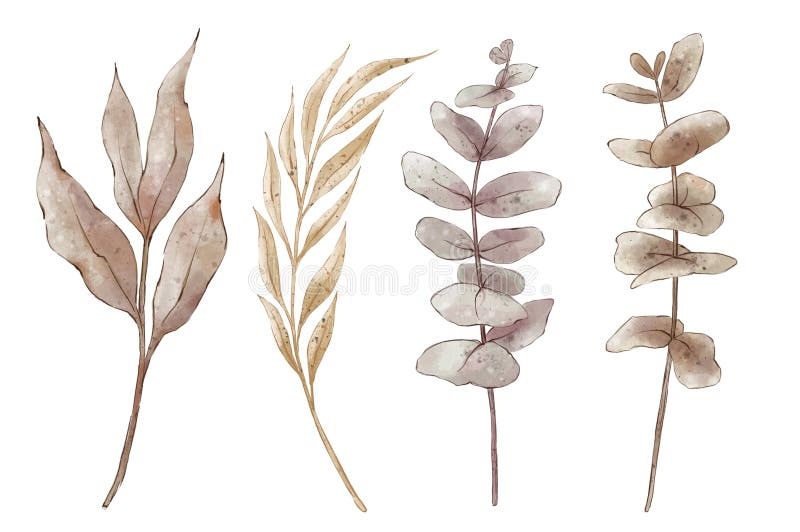 Watercolor Set of Greenery Branches in Boho Style. Hand Painted ...